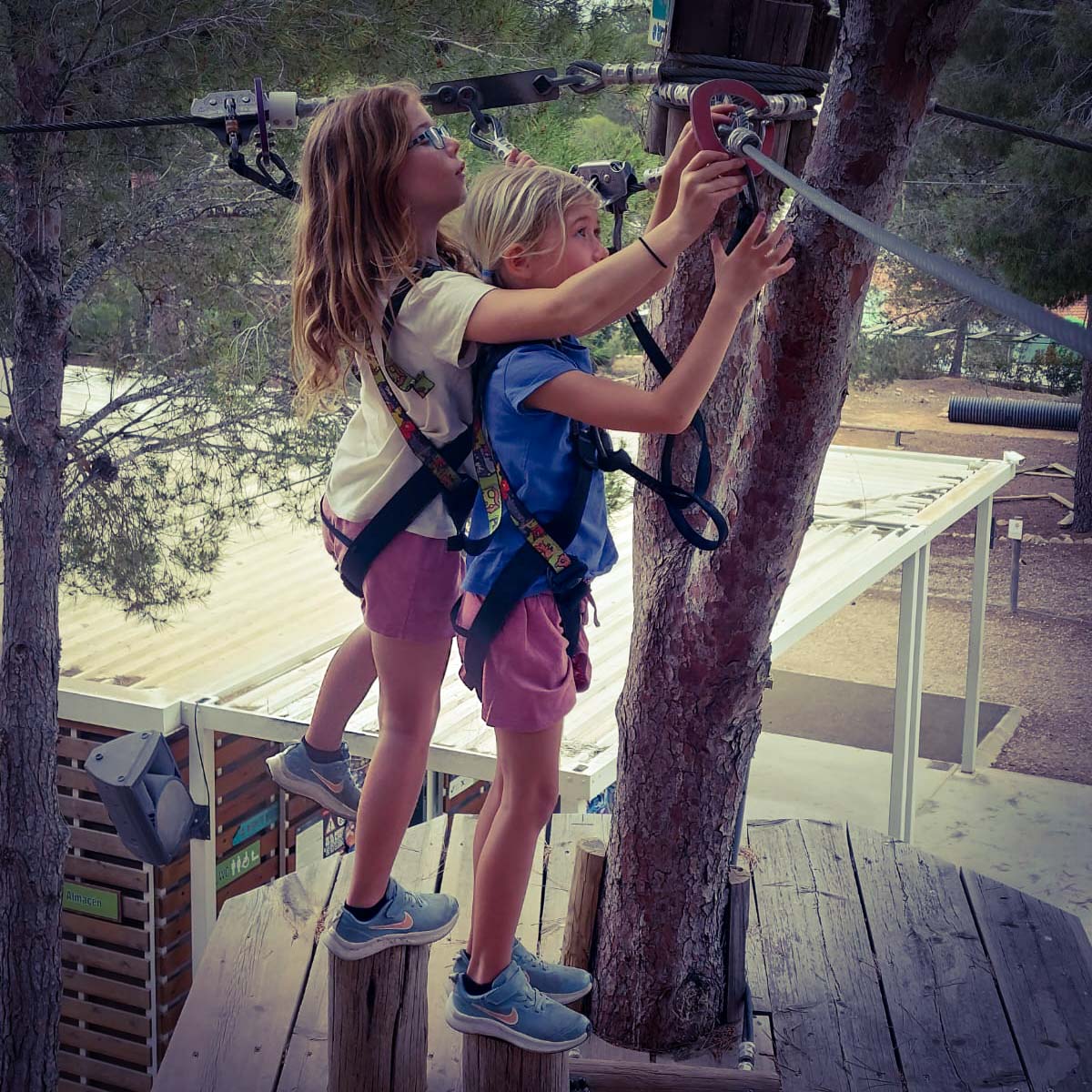 Treetop High Ropes Adventures for Kids, at Tirolinas Go! Alicante ...